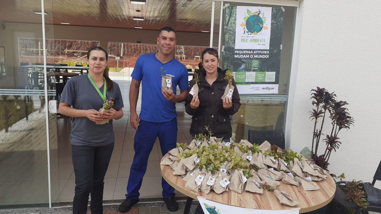 MILLPAR DISTRIBUI 1.000 MUDAS DE ÁRVORES EM COMEMORAÇÃO AO DIA MUNDIAL ...